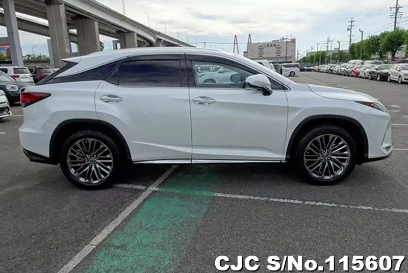 2022 Lexus RX 300 White for sale | Stock No. 115607 | Japanese Used ...