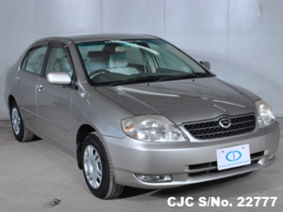 2000 Toyota Corolla Beige for sale | Stock No. 22777 | Japanese Used ...