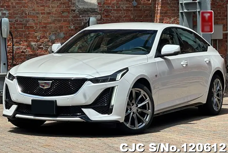2023 Cadillac CT5 White for sale | Stock No. 120612 | Japanese Used Cars Exporter