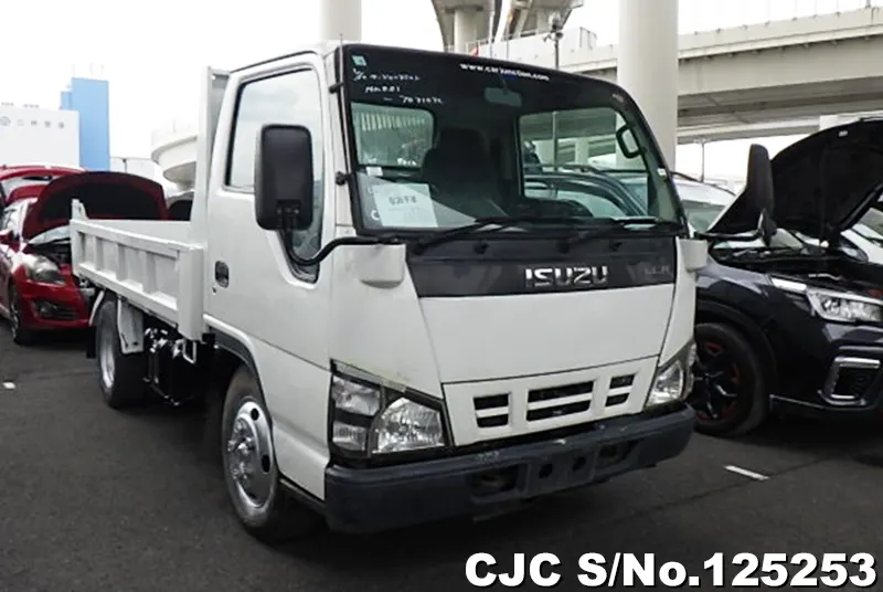 2007 Isuzu Elf Dump Trucks for sale | Stock No. 125253