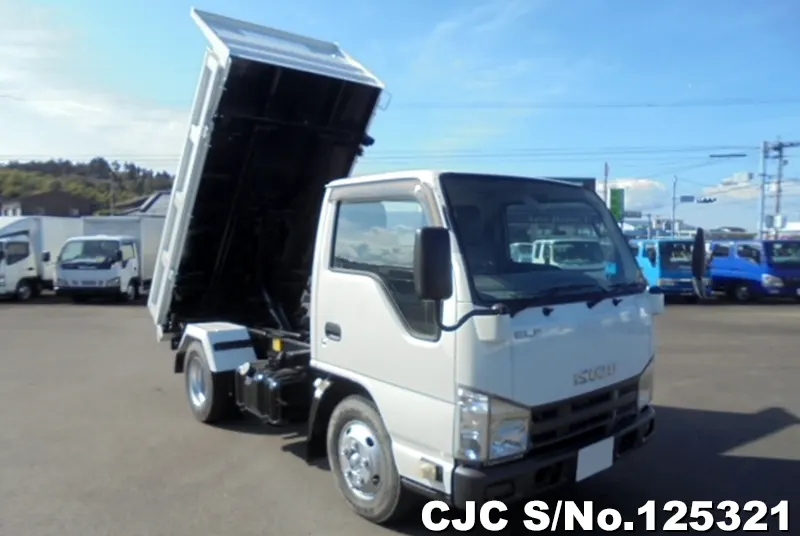 2010 Isuzu Elf Dump Trucks for sale | Stock No. 125321