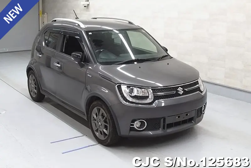 2016 Suzuki Ignis Gray for sale | Stock No. 125683 | Japanese Used Cars ...