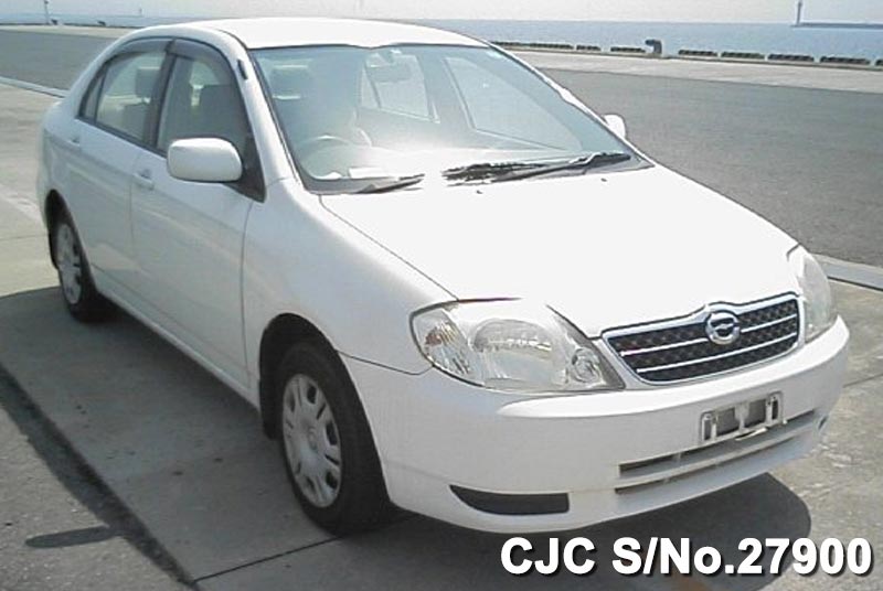 2002 Toyota Corolla White for sale | Stock No. 27900 | Japanese Used ...