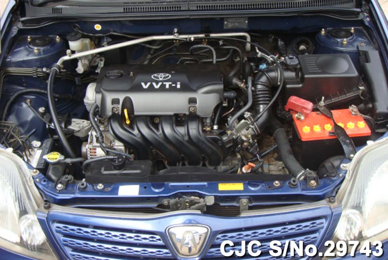 2001 Toyota Allex Blue for sale | Stock No. 29743 | Japanese Used Cars ...