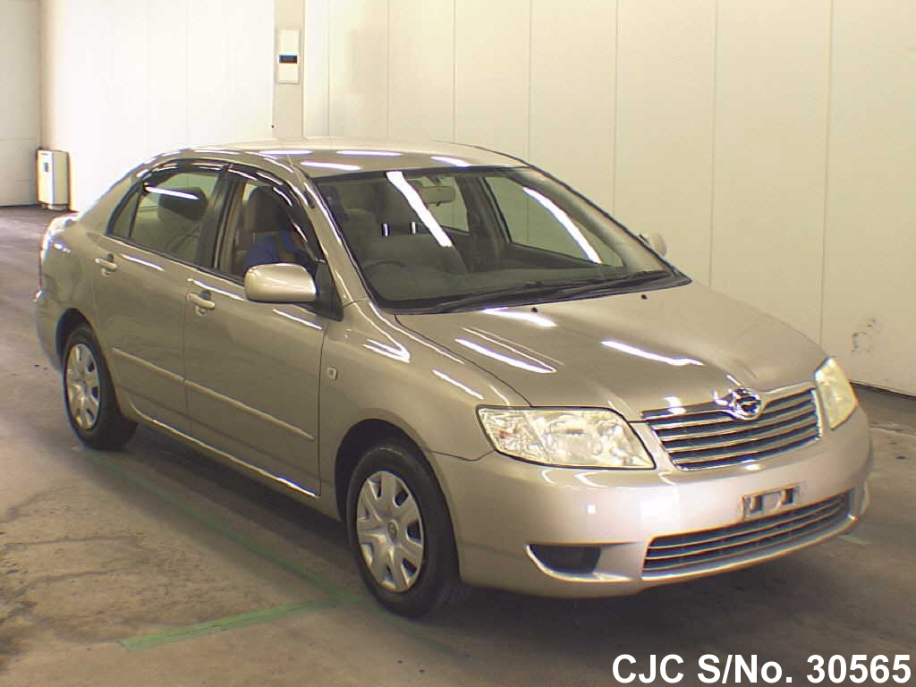 2004 Toyota Corolla Silver for sale | Stock No. 30565 | Japanese Used ...