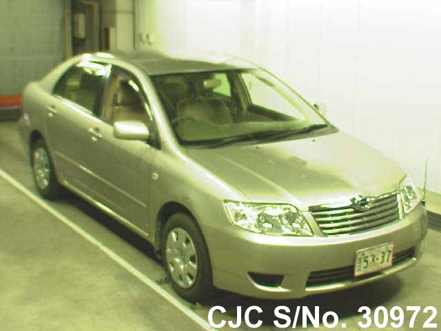 2004 Toyota Corolla Silver for sale | Stock No. 30972 | Japanese Used ...
