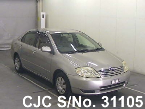 2004 Toyota Corolla Silver for sale | Stock No. 31105 | Japanese Used ...