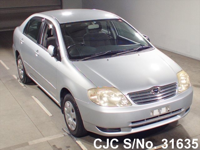 2004 Toyota Corolla Silver for sale | Stock No. 31635 | Japanese Used ...