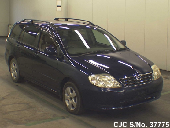 2001 Toyota Corolla Fielder Blue for sale | Stock No. 37775 | Japanese ...