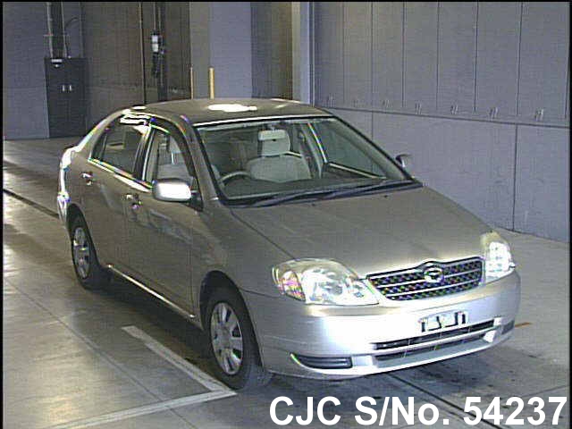 2002 Toyota Corolla Silver for sale | Stock No. 54237 | Japanese Used ...