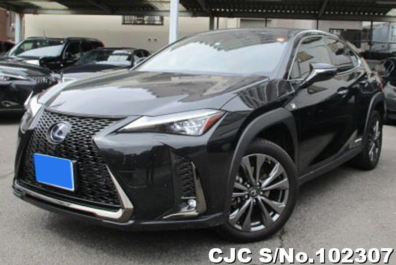 2021 Lexus UX 250H Black for sale | Stock No. 102307 | Japanese Used ...