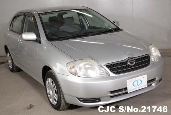 2002 Toyota Corolla Silver for sale | Stock No. 21746 | Japanese Used ...